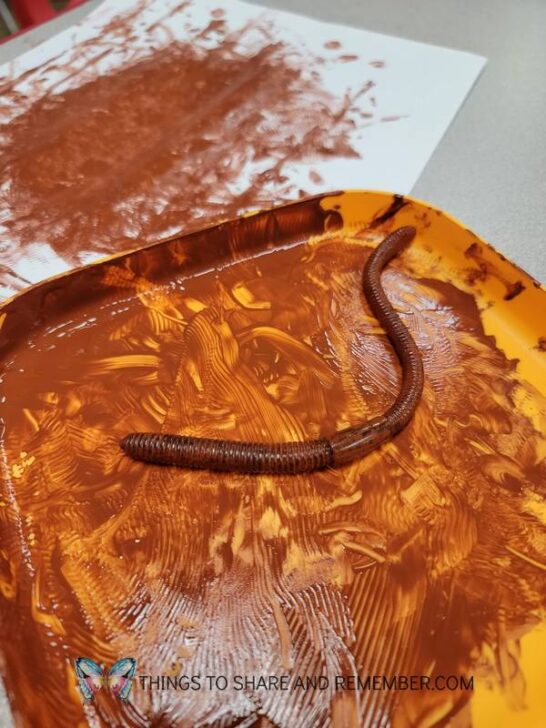 Painting with Worms Process Art Activity for Preschoolers